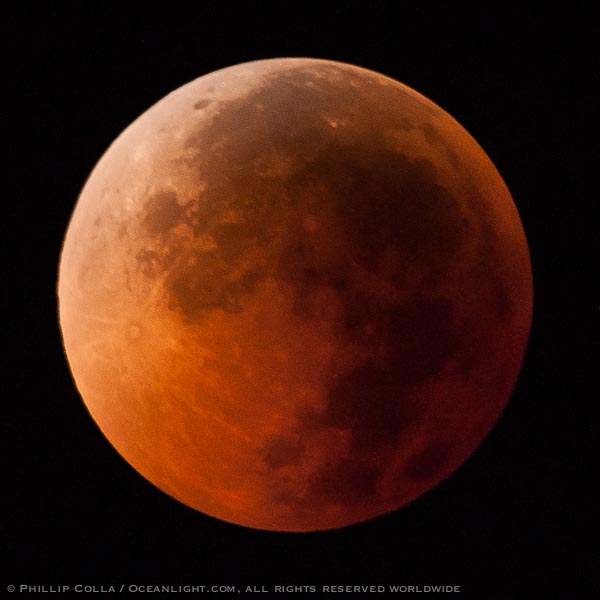 Tips for Photographing the Blood Red Moon during a Total Lunar Eclipse ...